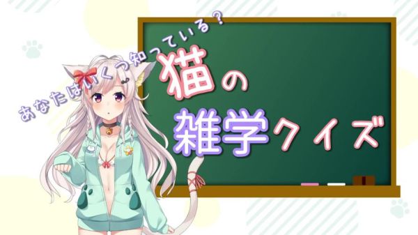 竹轮猫是什么_竹轮猫怎么养-第3张图片-山城妙识 竹轮猫是什么_竹轮猫怎么养-第3张图片-山城妙识