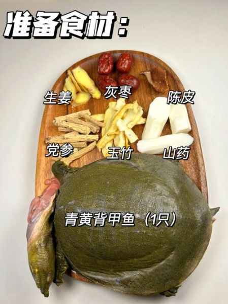 甲鱼的功效与作用及食用方法_甲鱼怎么炖最补-第1张图片-山城妙识 甲鱼的功效与作用及食用方法_甲鱼怎么炖最补-第1张图片-山城妙识