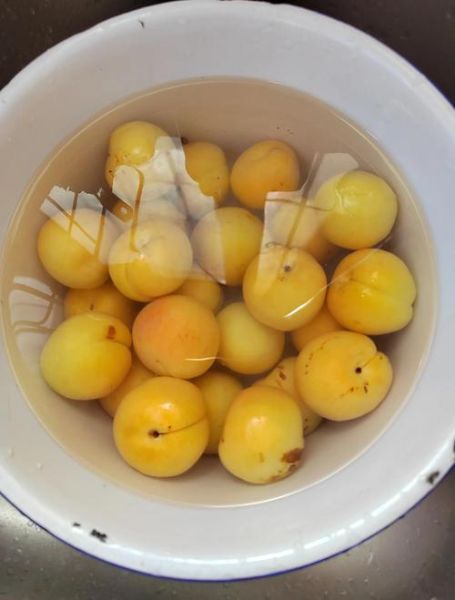 自制杏罐头怎么做_杏罐头能保存多久-第1张图片-山城妙识