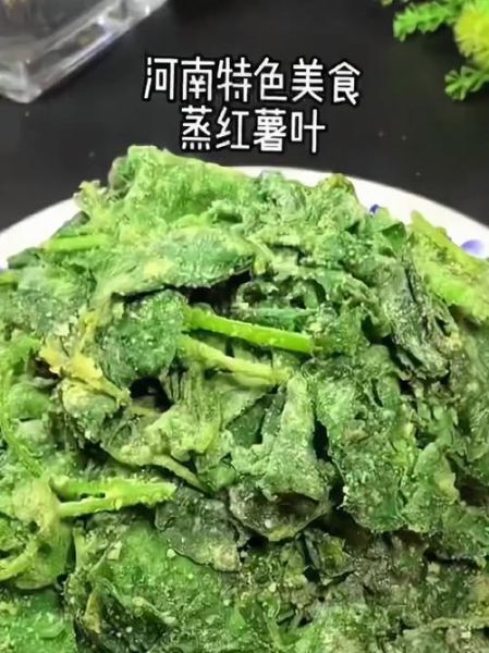 蒸地瓜叶的做法窍门_蒸地瓜叶怎么蒸才翠绿不苦-第1张图片-山城妙识