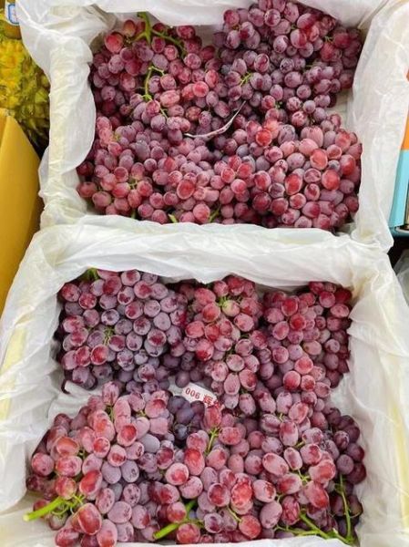 国产红提哪里最正宗_国产红提怎么挑最甜-第1张图片-山城妙识