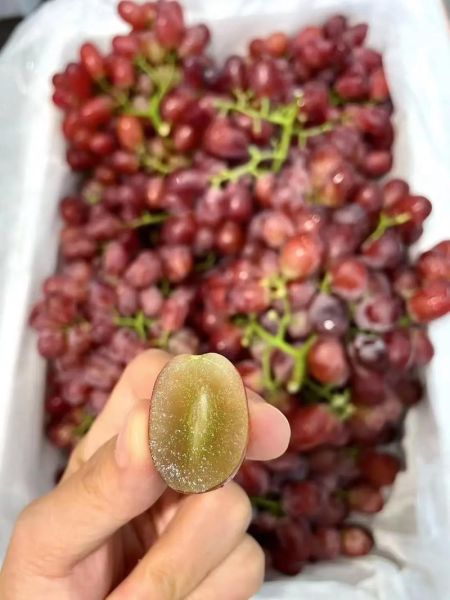 国产红提哪里最正宗_国产红提怎么挑最甜-第3张图片-山城妙识