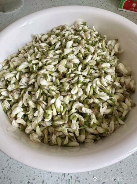 槐花怎么蒸好吃_蒸槐花不黏不散的技巧-第1张图片-山城妙识