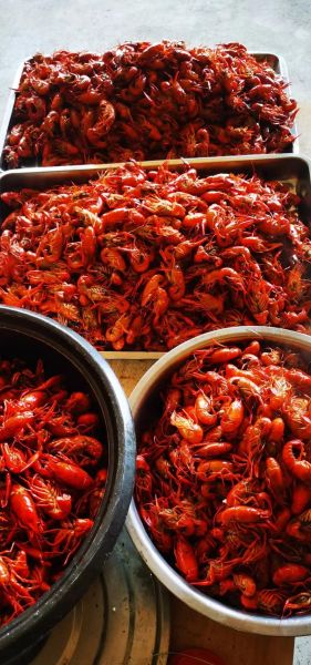 卤虾怎么做_小龙虾卤多久才入味-第2张图片-山城妙识 卤虾怎么做_小龙虾卤多久才入味-第2张图片-山城妙识