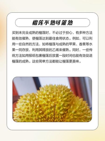 榴莲没熟已经扒出来了怎么办_如何补救生榴莲-第3张图片-山城妙识 榴莲没熟已经扒出来了怎么办_如何补救生榴莲-第3张图片-山城妙识