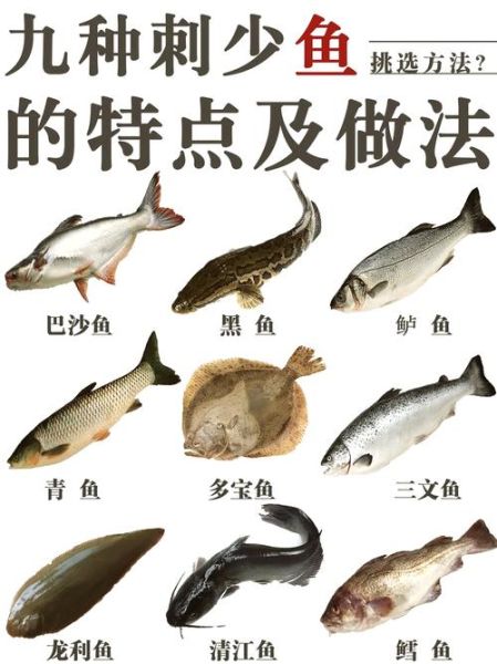 什么鱼好吃刺少_适合老人小孩的淡水鱼推荐-第1张图片-山城妙识 什么鱼好吃刺少_适合老人小孩的淡水鱼推荐-第1张图片-山城妙识
