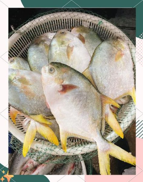 什么鱼好吃刺少_适合老人小孩的淡水鱼推荐-第2张图片-山城妙识 什么鱼好吃刺少_适合老人小孩的淡水鱼推荐-第2张图片-山城妙识