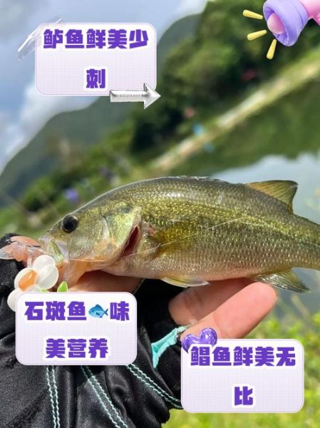 什么鱼好吃刺少_适合老人小孩的淡水鱼推荐-第3张图片-山城妙识 什么鱼好吃刺少_适合老人小孩的淡水鱼推荐-第3张图片-山城妙识