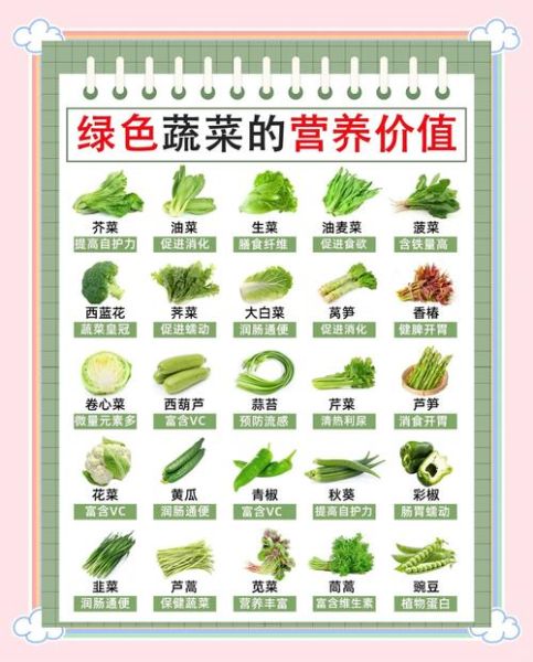 绿色蔬菜有哪些_绿色蔬菜怎么保存最新鲜-第2张图片-山城妙识 绿色蔬菜有哪些_绿色蔬菜怎么保存最新鲜-第2张图片-山城妙识