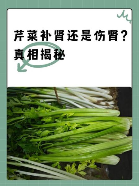 芹菜伤肾是真的吗_长期吃芹菜对肾的危害-第1张图片-山城妙识 芹菜伤肾是真的吗_长期吃芹菜对肾的危害-第1张图片-山城妙识