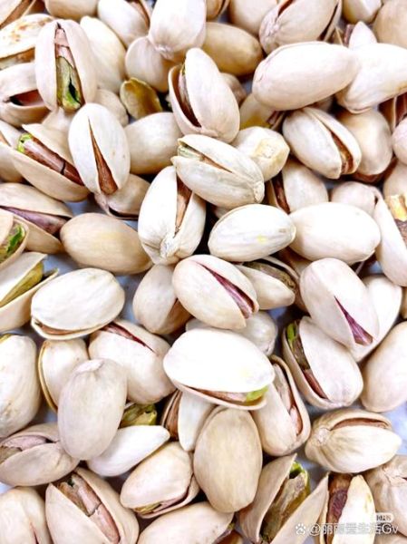 开心果的功效与作用_开心果营养价值高吗-第2张图片-山城妙识 开心果的功效与作用_开心果营养价值高吗-第2张图片-山城妙识