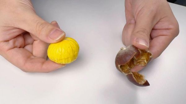 生板栗怎么去皮_生板栗怎么去壳最快-第1张图片-山城妙识 生板栗怎么去皮_生板栗怎么去壳最快-第1张图片-山城妙识