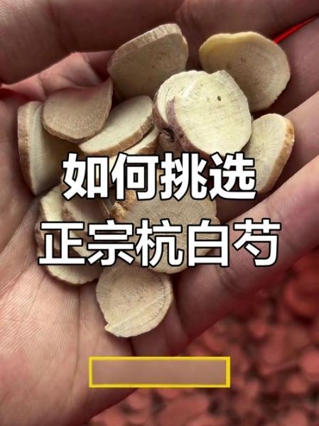 白芍长什么样_白芍图片如何鉴别真假-第1张图片-山城妙识 白芍长什么样_白芍图片如何鉴别真假-第1张图片-山城妙识
