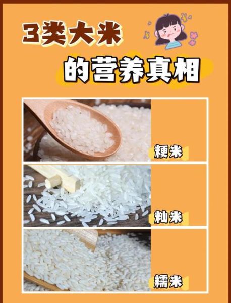 粳米粉是糯米粉吗_粳米粉和糯米粉的区别-第2张图片-山城妙识 粳米粉是糯米粉吗_粳米粉和糯米粉的区别-第2张图片-山城妙识