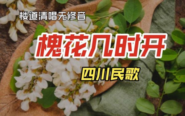槐花几时开简谱_雷佳演唱版本教学-第3张图片-山城妙识 槐花几时开简谱_雷佳演唱版本教学-第3张图片-山城妙识