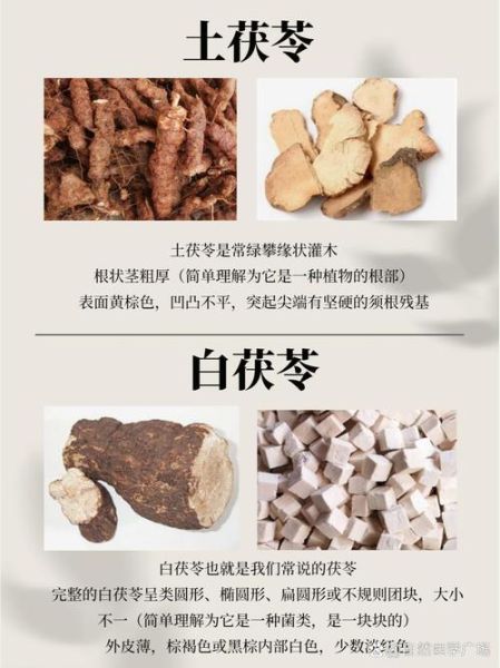 土茯苓和茯苓的区别_哪个祛湿更好-第1张图片-山城妙识 土茯苓和茯苓的区别_哪个祛湿更好-第1张图片-山城妙识