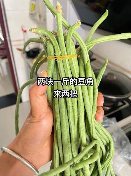 湖南酸豆角怎么腌制才脆_正宗酸豆角腌制方法-第1张图片-山城妙识 湖南酸豆角怎么腌制才脆_正宗酸豆角腌制方法-第1张图片-山城妙识