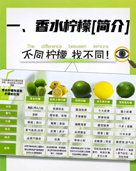 柠檬茶的做法_柠檬茶的功效与禁忌-第1张图片-山城妙识 柠檬茶的做法_柠檬茶的功效与禁忌-第1张图片-山城妙识