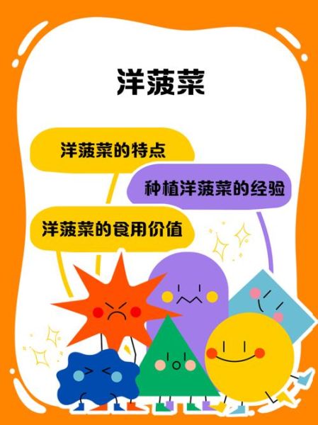 洋菠菜的功效与作用_洋菠菜怎么吃最营养-第1张图片-山城妙识 洋菠菜的功效与作用_洋菠菜怎么吃最营养-第1张图片-山城妙识