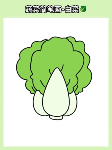 小白菜简笔画怎么画_小白菜图片简笔画步骤-第1张图片-山城妙识 小白菜简笔画怎么画_小白菜图片简笔画步骤-第1张图片-山城妙识