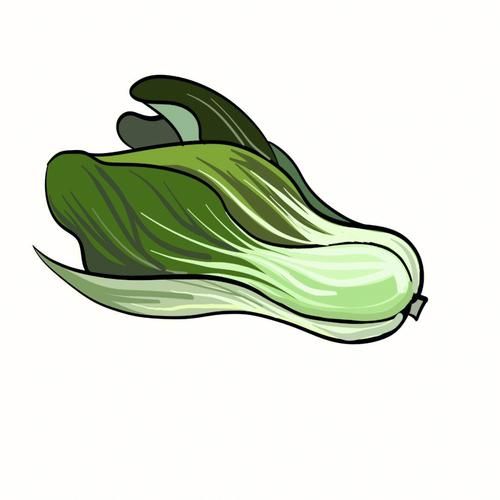 小白菜简笔画怎么画_小白菜图片简笔画步骤-第3张图片-山城妙识 小白菜简笔画怎么画_小白菜图片简笔画步骤-第3张图片-山城妙识