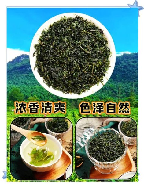 苦丁茶有什么功效与作用_苦丁茶能降血压吗-第1张图片-山城妙识 苦丁茶有什么功效与作用_苦丁茶能降血压吗-第1张图片-山城妙识