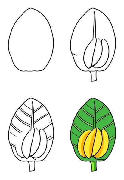 芭蕉叶简笔画怎么画_芭蕉叶简笔画步骤-第1张图片-山城妙识 芭蕉叶简笔画怎么画_芭蕉叶简笔画步骤-第1张图片-山城妙识