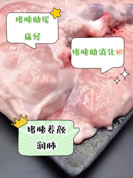 猪胰腺的功效与作用_猪胰腺怎么做好吃-第2张图片-山城妙识 猪胰腺的功效与作用_猪胰腺怎么做好吃-第2张图片-山城妙识