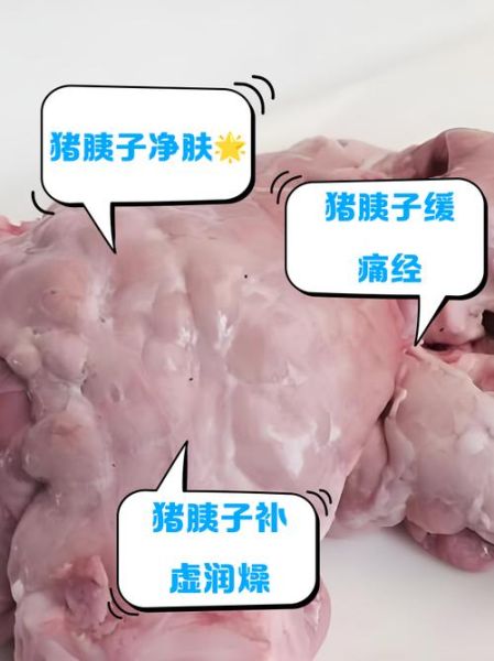 猪胰腺的功效与作用_猪胰腺怎么做好吃-第1张图片-山城妙识 猪胰腺的功效与作用_猪胰腺怎么做好吃-第1张图片-山城妙识