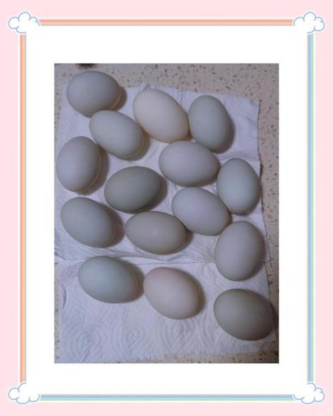 怎样快速腌鸭蛋出油又好吃_快速腌鸭蛋出油技巧-第3张图片-山城妙识