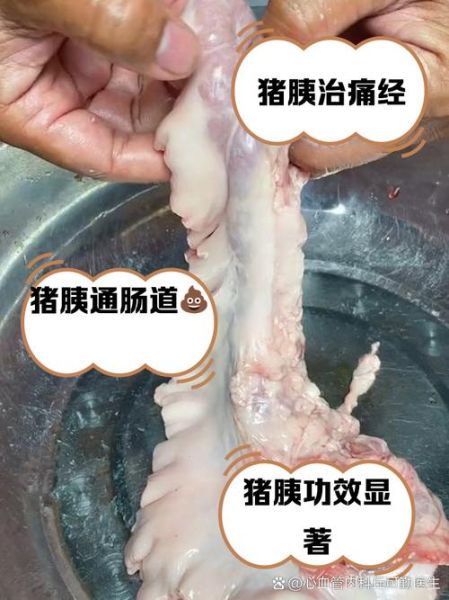 猪胰腺的功效与作用_猪胰腺怎么做好吃-第3张图片-山城妙识 猪胰腺的功效与作用_猪胰腺怎么做好吃-第3张图片-山城妙识