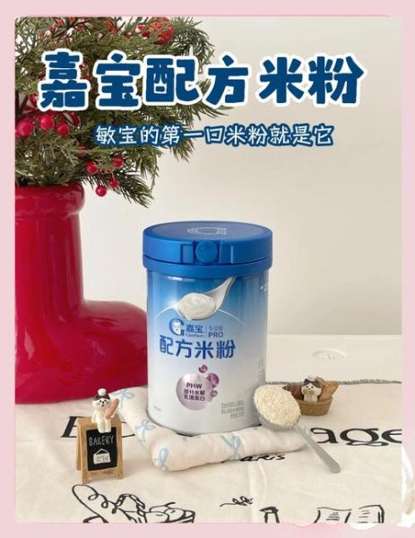 嘉宝米粉怎么样_嘉宝米粉好不好-第1张图片-山城妙识