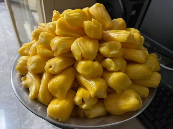 菠萝蜜怎么吃好吃又简单_菠萝蜜怎么剥皮不黏手-第3张图片-山城妙识 菠萝蜜怎么吃好吃又简单_菠萝蜜怎么剥皮不黏手-第3张图片-山城妙识