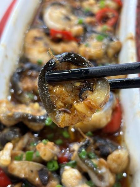 白鳝怎么做好吃_白鳝的做法大全-第3张图片-山城妙识 白鳝怎么做好吃_白鳝的做法大全-第3张图片-山城妙识