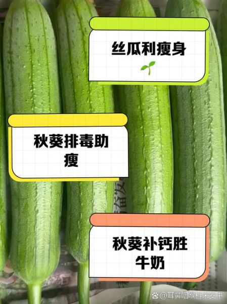 丝瓜秋葵可以一起吃吗_丝瓜秋葵的功效与作用-第2张图片-山城妙识 丝瓜秋葵可以一起吃吗_丝瓜秋葵的功效与作用-第2张图片-山城妙识