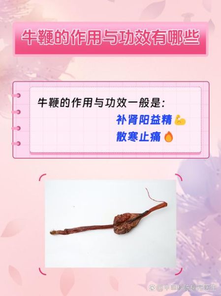 男人吃牛鞭多久见效_牛鞭吃多久才有效果-第3张图片-山城妙识 男人吃牛鞭多久见效_牛鞭吃多久才有效果-第3张图片-山城妙识