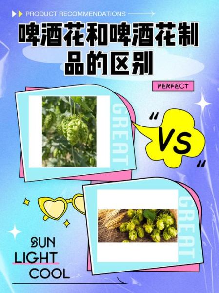 啤酒花制品和啤酒花的区别_哪个更好-第1张图片-山城妙识 啤酒花制品和啤酒花的区别_哪个更好-第1张图片-山城妙识