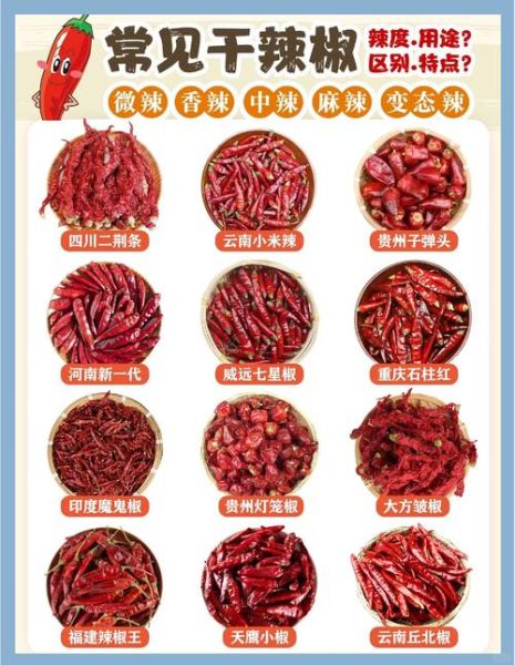 干辣椒种类及特点辣度_干辣椒辣度排行榜-第1张图片-山城妙识 干辣椒种类及特点辣度_干辣椒辣度排行榜-第1张图片-山城妙识