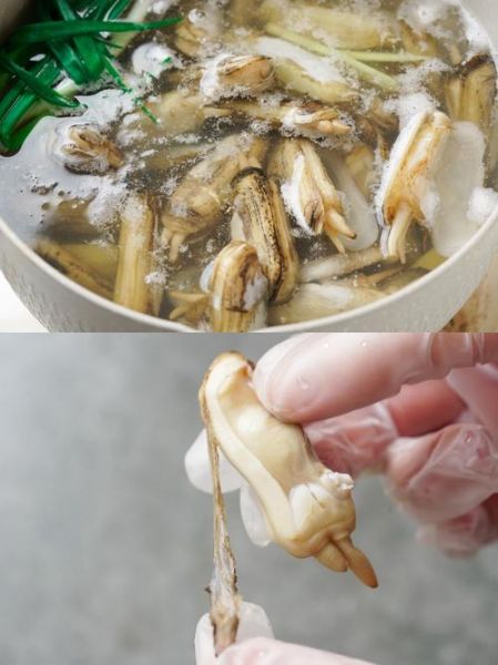 蛏子怎么清洗去沙_蛏子清蒸还是水煮好吃-第1张图片-山城妙识 蛏子怎么清洗去沙_蛏子清蒸还是水煮好吃-第1张图片-山城妙识
