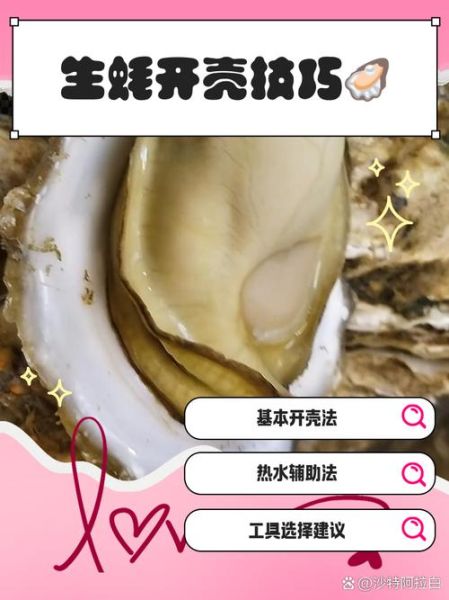 生蚝怎么打开_生蚝怎么打开最方便-第3张图片-山城妙识 生蚝怎么打开_生蚝怎么打开最方便-第3张图片-山城妙识