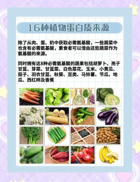 高蛋白蔬菜有哪些_如何吃够每日蛋白-第2张图片-山城妙识 高蛋白蔬菜有哪些_如何吃够每日蛋白-第2张图片-山城妙识