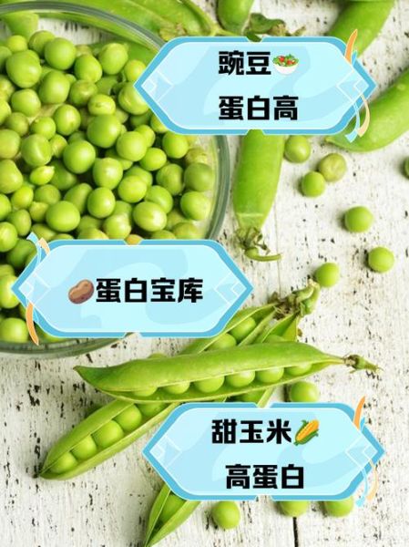 高蛋白蔬菜有哪些_如何吃够每日蛋白-第3张图片-山城妙识 高蛋白蔬菜有哪些_如何吃够每日蛋白-第3张图片-山城妙识