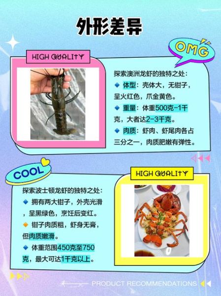 波士顿龙虾和澳洲龙虾的区别_哪个更好吃-第2张图片-山城妙识 波士顿龙虾和澳洲龙虾的区别_哪个更好吃-第2张图片-山城妙识