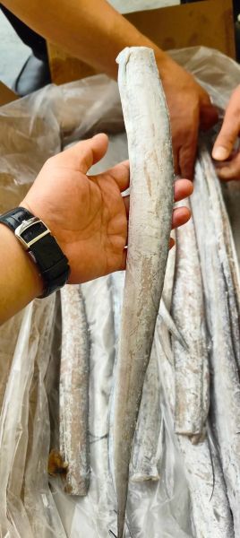 带鱼段怎么处理内脏_带鱼内脏清理技巧-第2张图片-山城妙识 带鱼段怎么处理内脏_带鱼内脏清理技巧-第2张图片-山城妙识