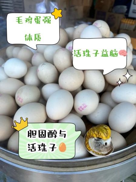 毛鸡蛋的功效有哪些_毛鸡蛋真的大补吗-第2张图片-山城妙识 毛鸡蛋的功效有哪些_毛鸡蛋真的大补吗-第2张图片-山城妙识