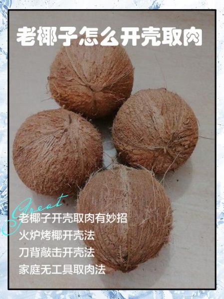 椰子怎么打开取肉_椰子取肉最简单的方法-第1张图片-山城妙识 椰子怎么打开取肉_椰子取肉最简单的方法-第1张图片-山城妙识