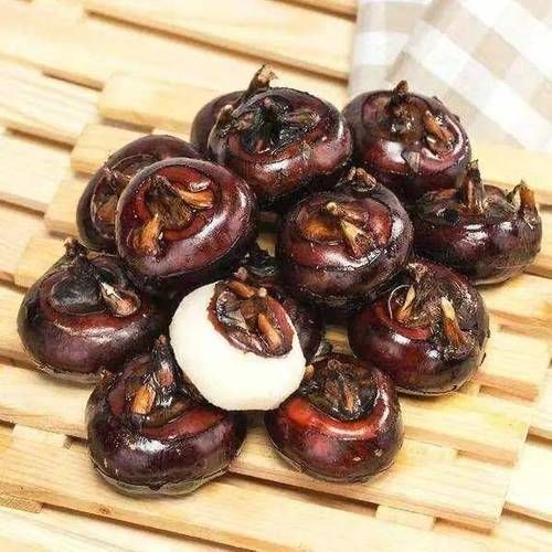 和荸荠相似的植物有哪些_怎么区分-第1张图片-山城妙识