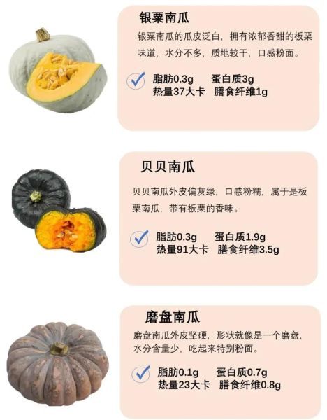 番瓜和南瓜的区别_哪个更营养-第1张图片-山城妙识 番瓜和南瓜的区别_哪个更营养-第1张图片-山城妙识