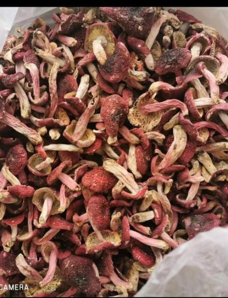 红菌菇怎么做好吃_红菌菇煲汤做法-第2张图片-山城妙识