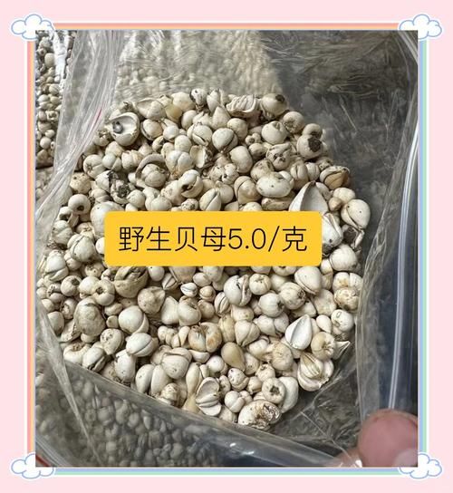 4岁川贝粉用量_川贝粉一次吃多少-第3张图片-山城妙识 4岁川贝粉用量_川贝粉一次吃多少-第3张图片-山城妙识